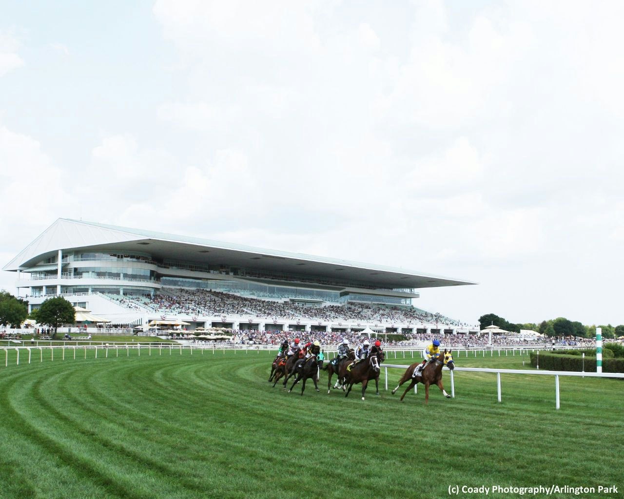 Horse racing trends: Arlington Park track update | The TwinSpires Edge